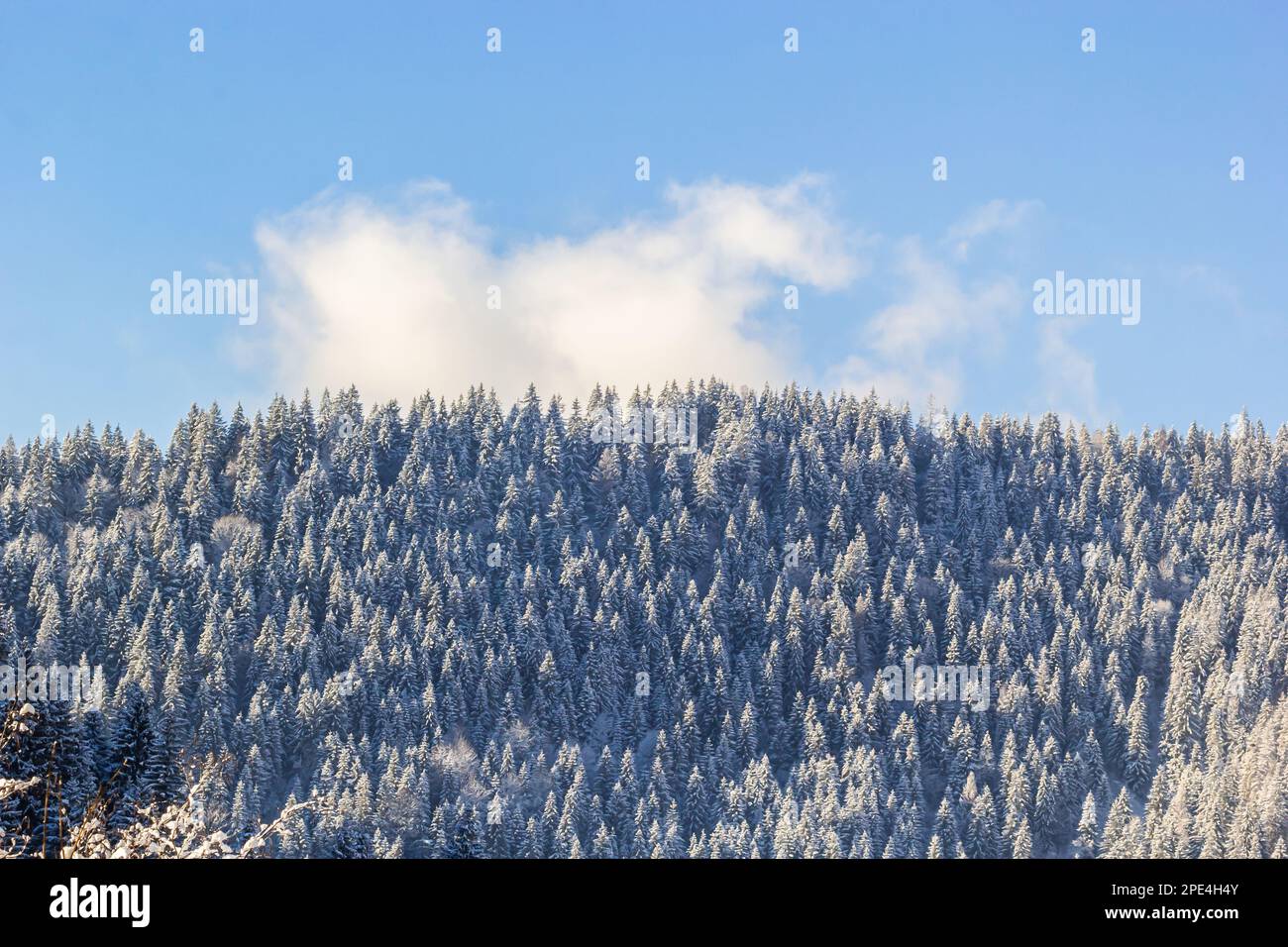 Rural hills, groves and agricultural lands in the winter remote ...