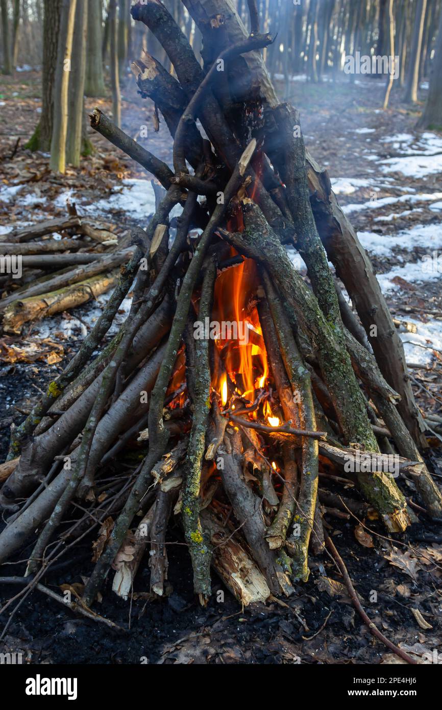Campfire in the spring forest. Rest on the weekend. Danger of forest ...