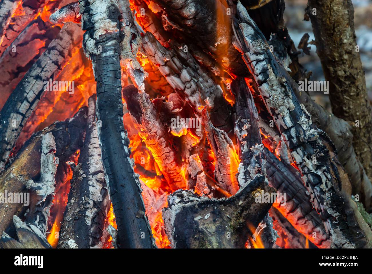 Campfire in the spring forest. Rest on the weekend. Danger of forest ...