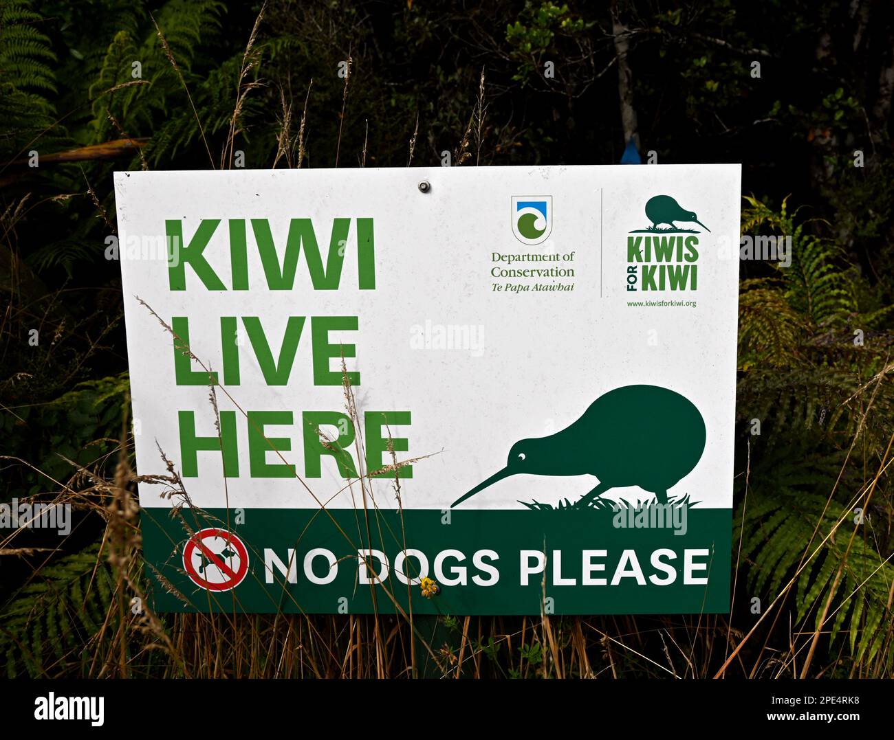 Road side signs designed to make drivers aware that Kiwis may be ...