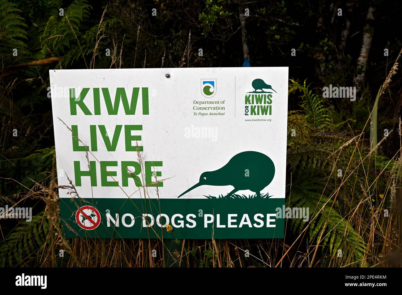 Road side signs designed to make drivers aware that Kiwis may be ...
