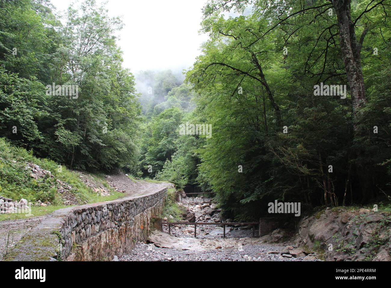 dry stream and forest in eaux-bonnes in france Stock Photo - Alamy