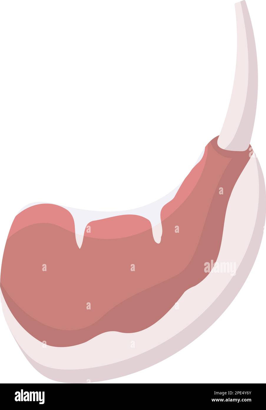 rib meat icon Stock Vector Image & Art - Alamy