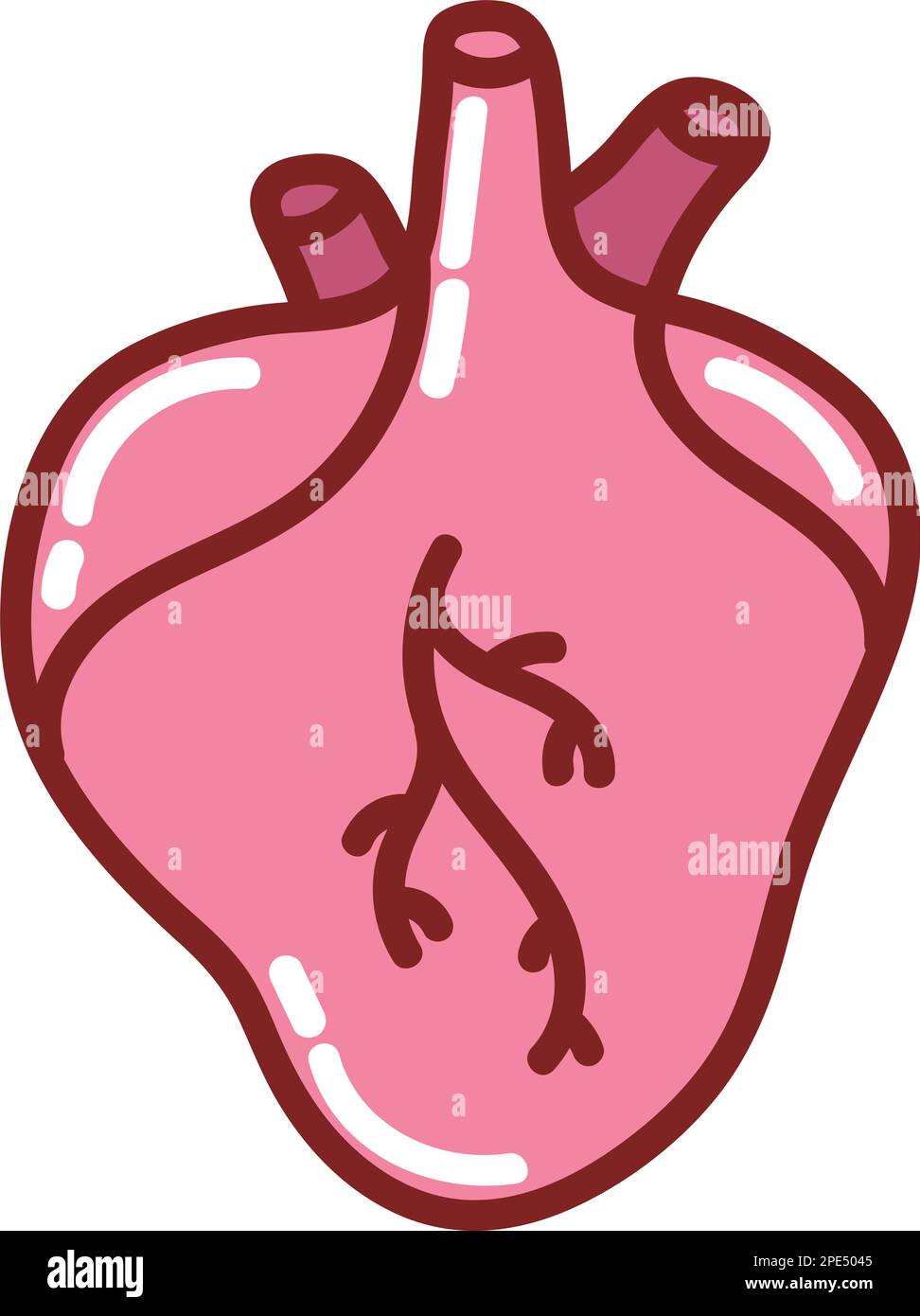 heart human body Stock Vector Image & Art - Alamy