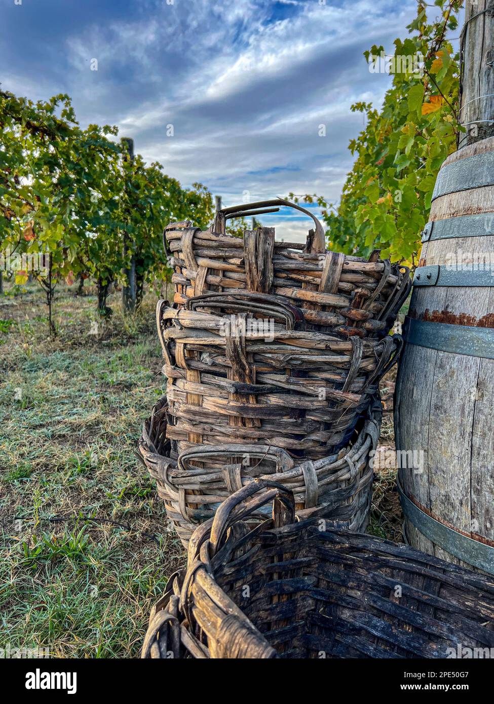 A collection of vintage wooden barrels stacked against the exterior of ...