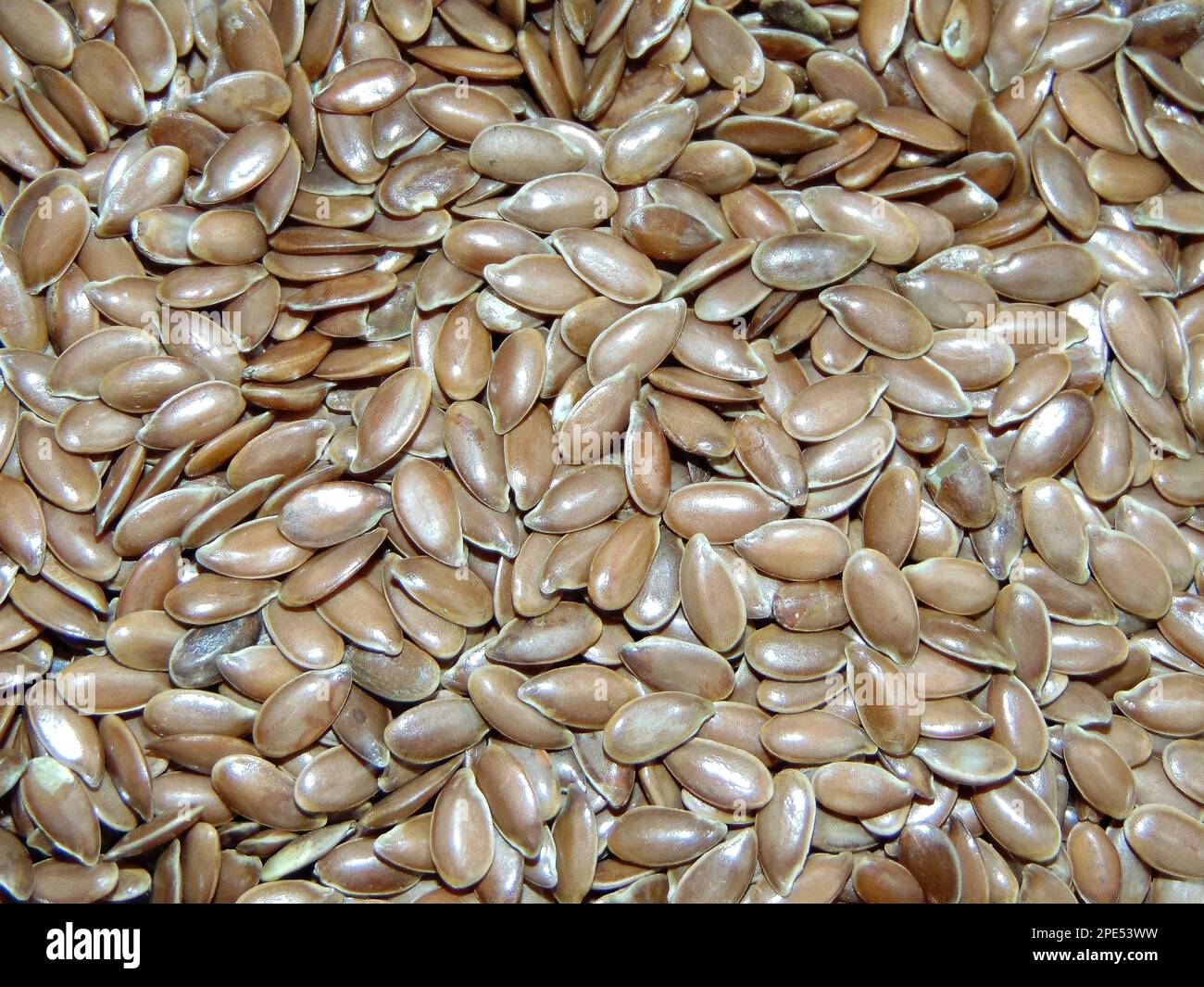 Pile of flaxseed. Macro flaxseed Stock Photo - Alamy