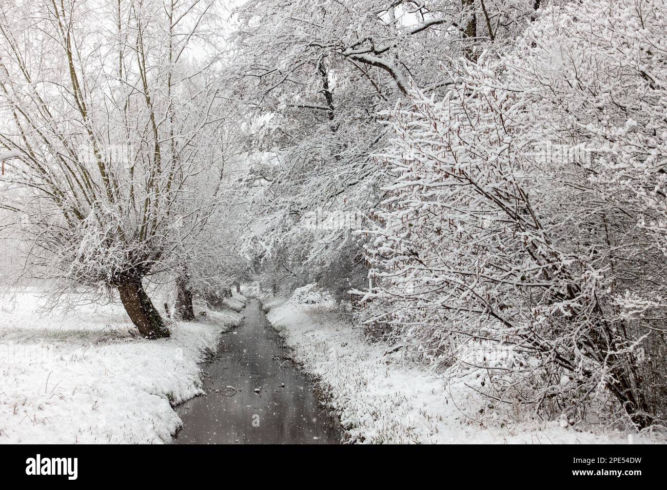Onset of winter in Meerbusch, North Rhine-Westfalia, Germany. Heavy ...