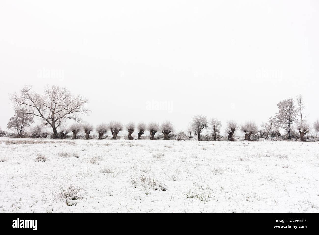 Onset of winter in Meerbusch, North Rhine-Westfalia, Germany. Heavy ...