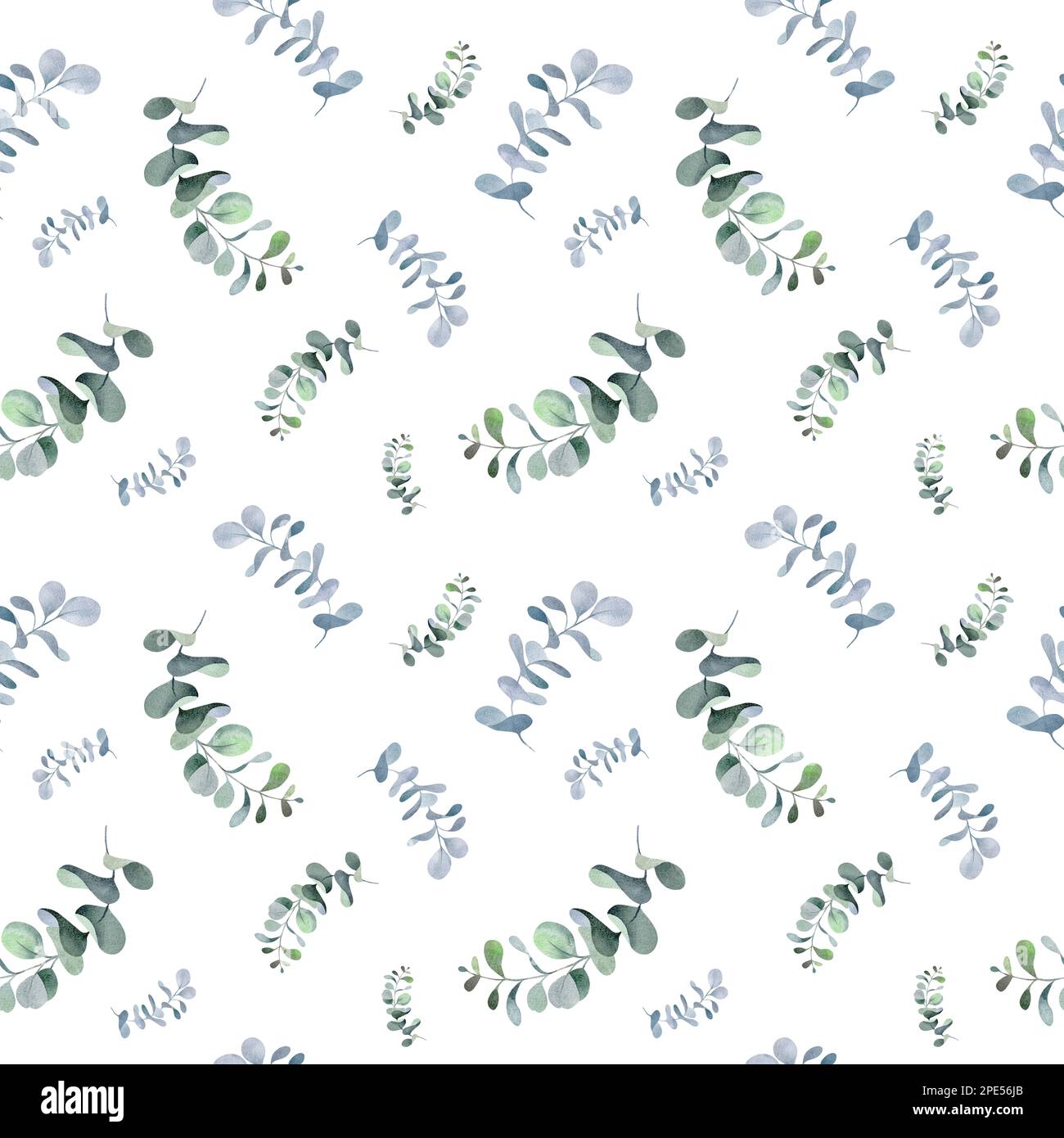 Australian flowers pattern Cut Out Stock Images & Pictures - Alamy