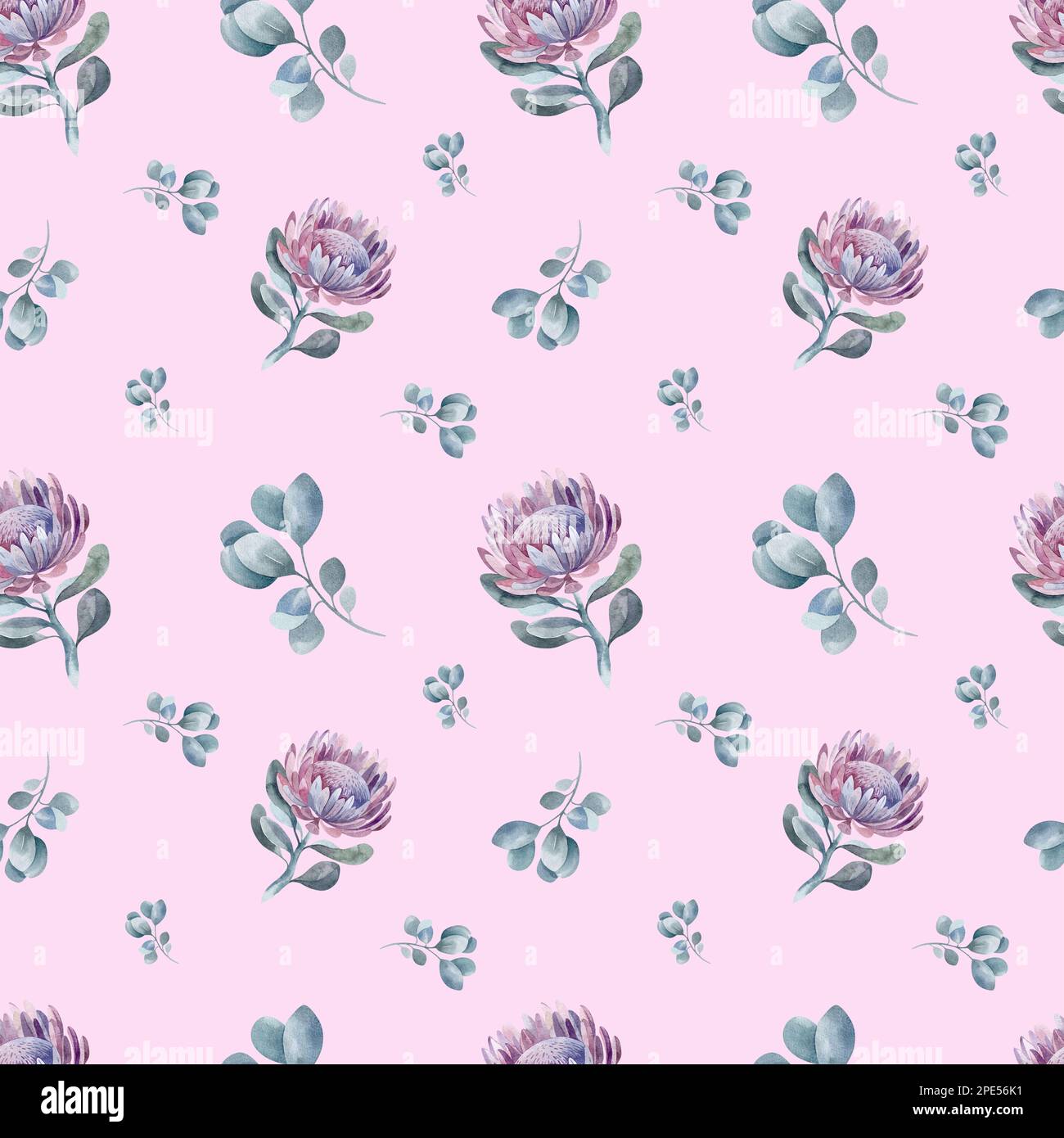 Australian beach flora and fauna hi-res stock photography and images ...