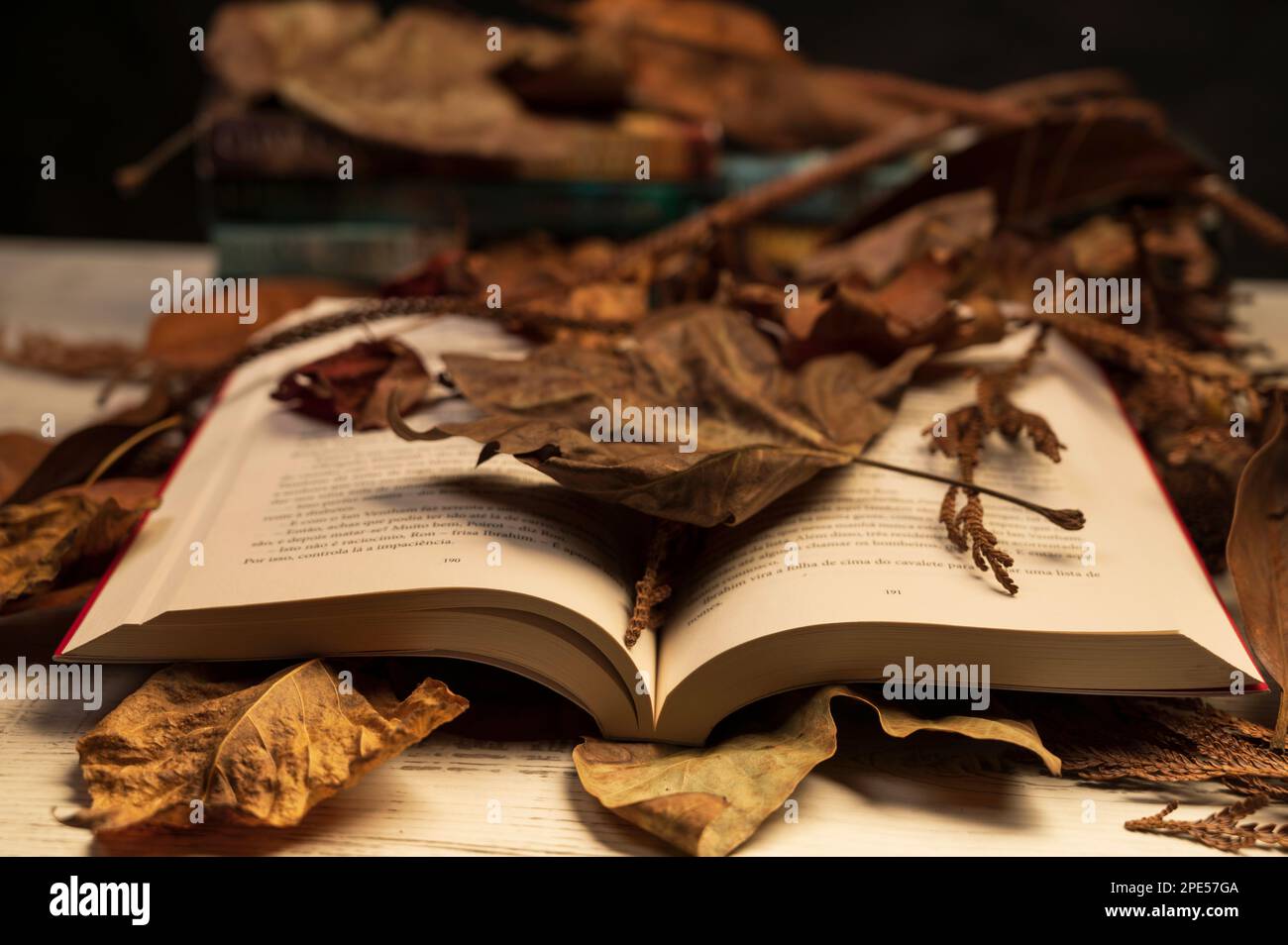 bool lost in leaves, book reading background, in a time people dont ...