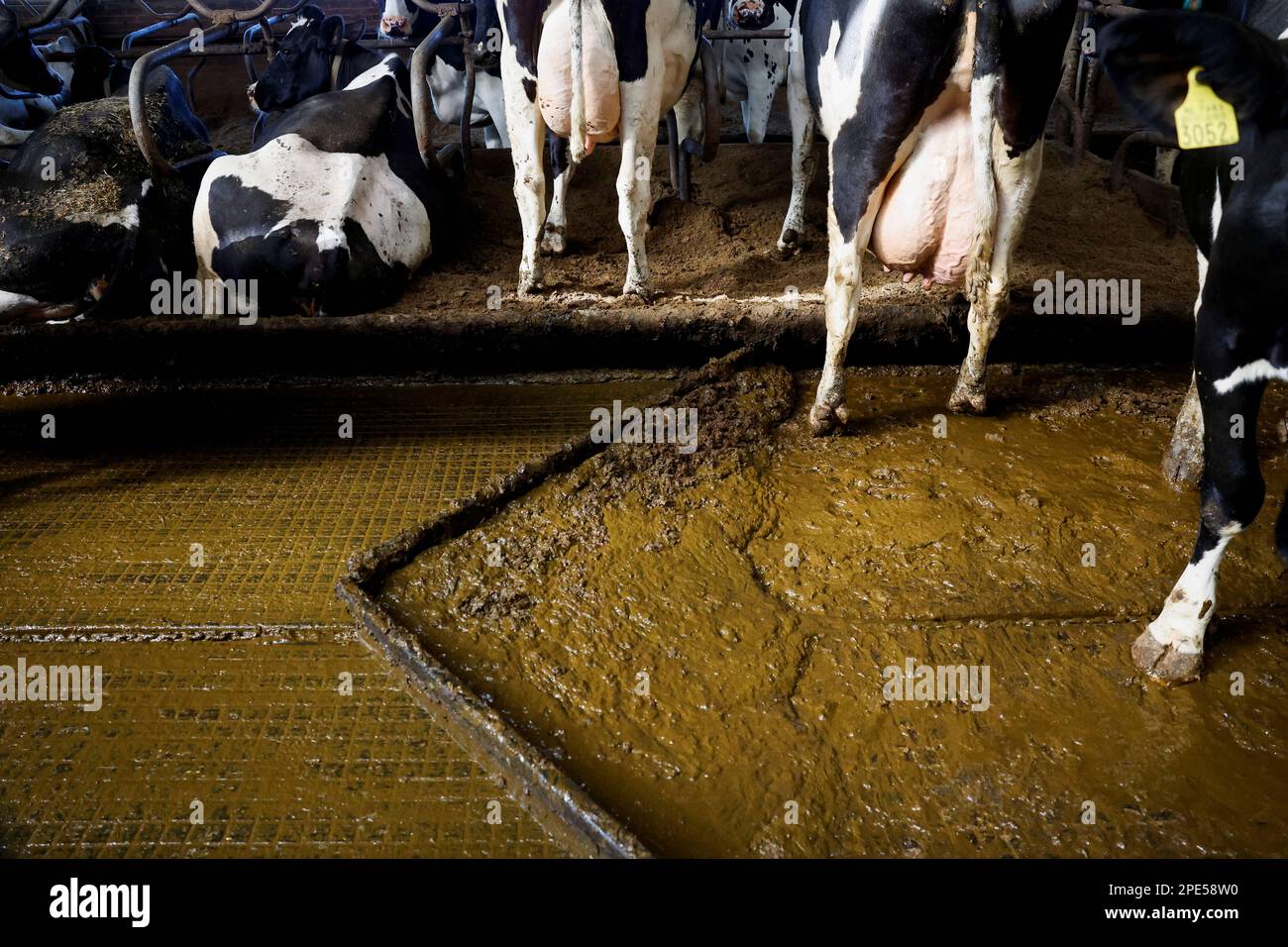 Manure rules hi-res stock photography and images - Alamy