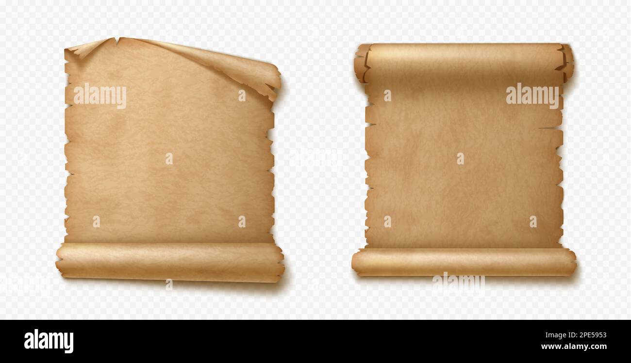 Parchment Scroll Vector