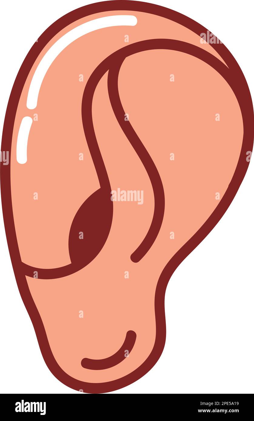 ear human body Stock Vector Image & Art - Alamy