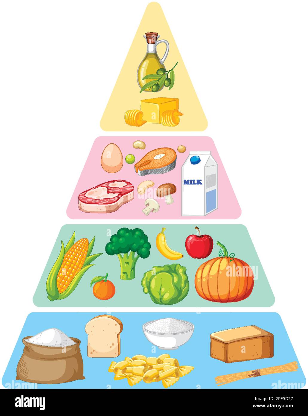 Main food groups macronutrients vector illustration Stock Vector Image ...