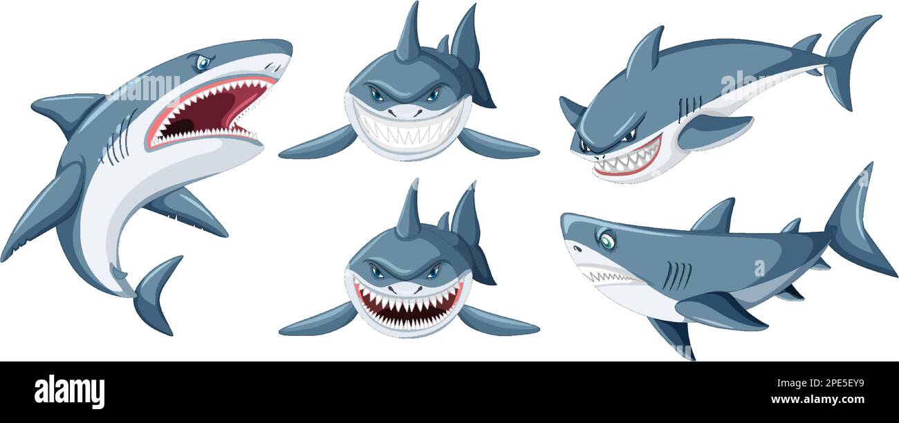 Shark Doing Different Activities Cartoon Characters illustration Stock ...