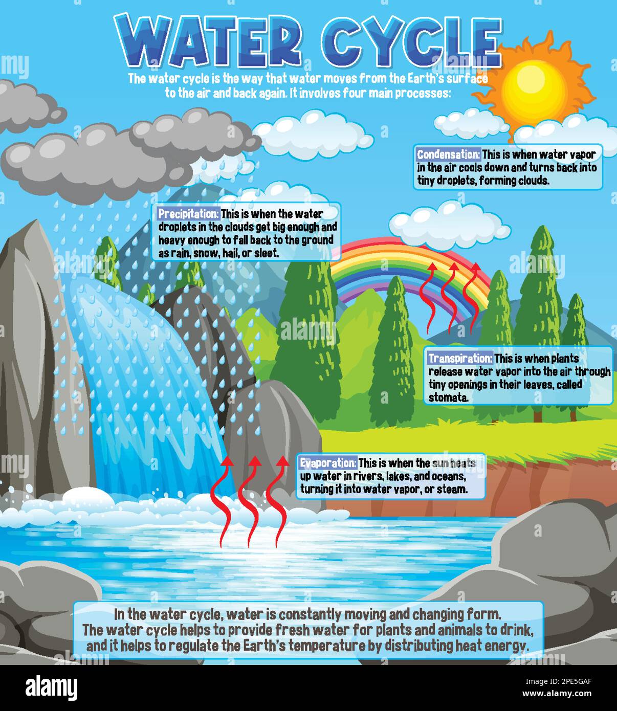 Water Cycle for Science Education illustration Stock Vector Image & Art ...