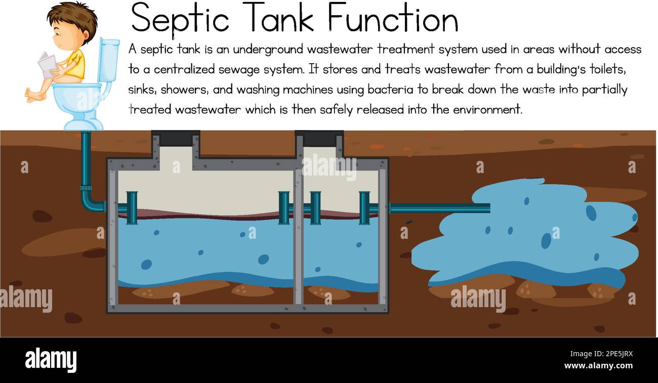 Septic Tank Function Explanation illustration Stock Vector Image & Art ...