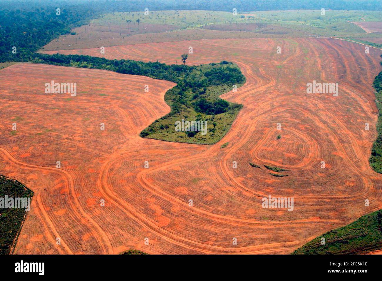 Aereal view of an area deforestated by soybean farmers in Novo Progreso ...