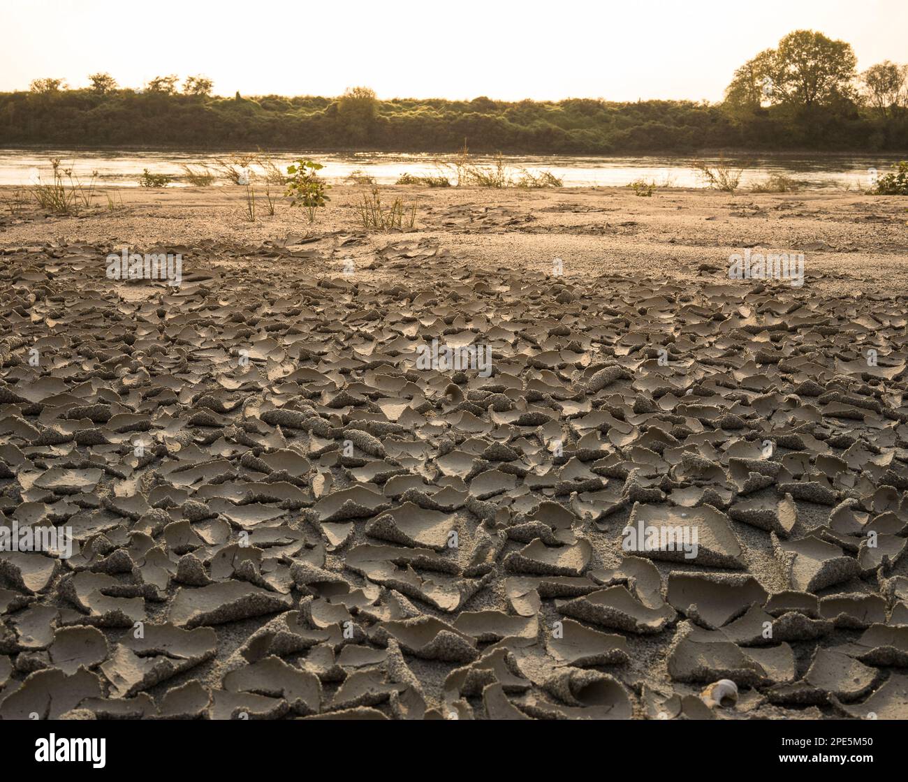 the river bank in drought Stock Photo - Alamy