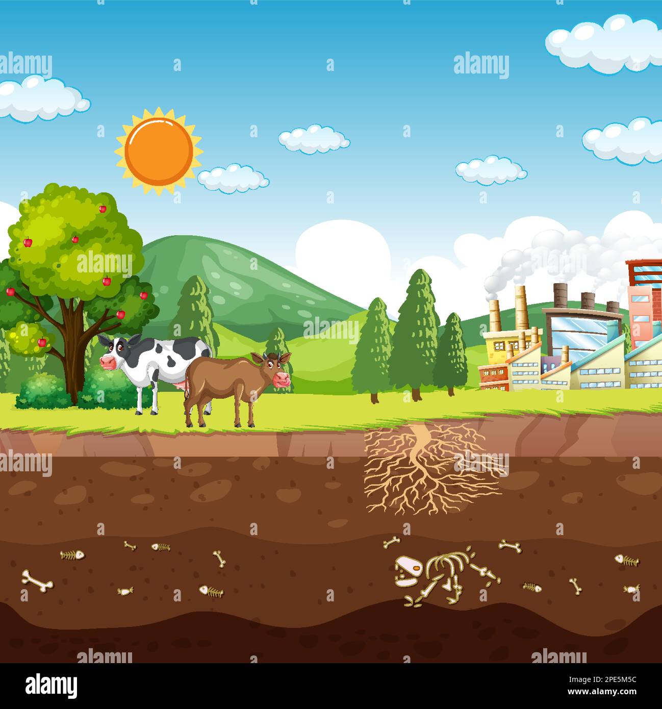 Carbon Cycle Concept for Science Education illustration Stock Vector ...