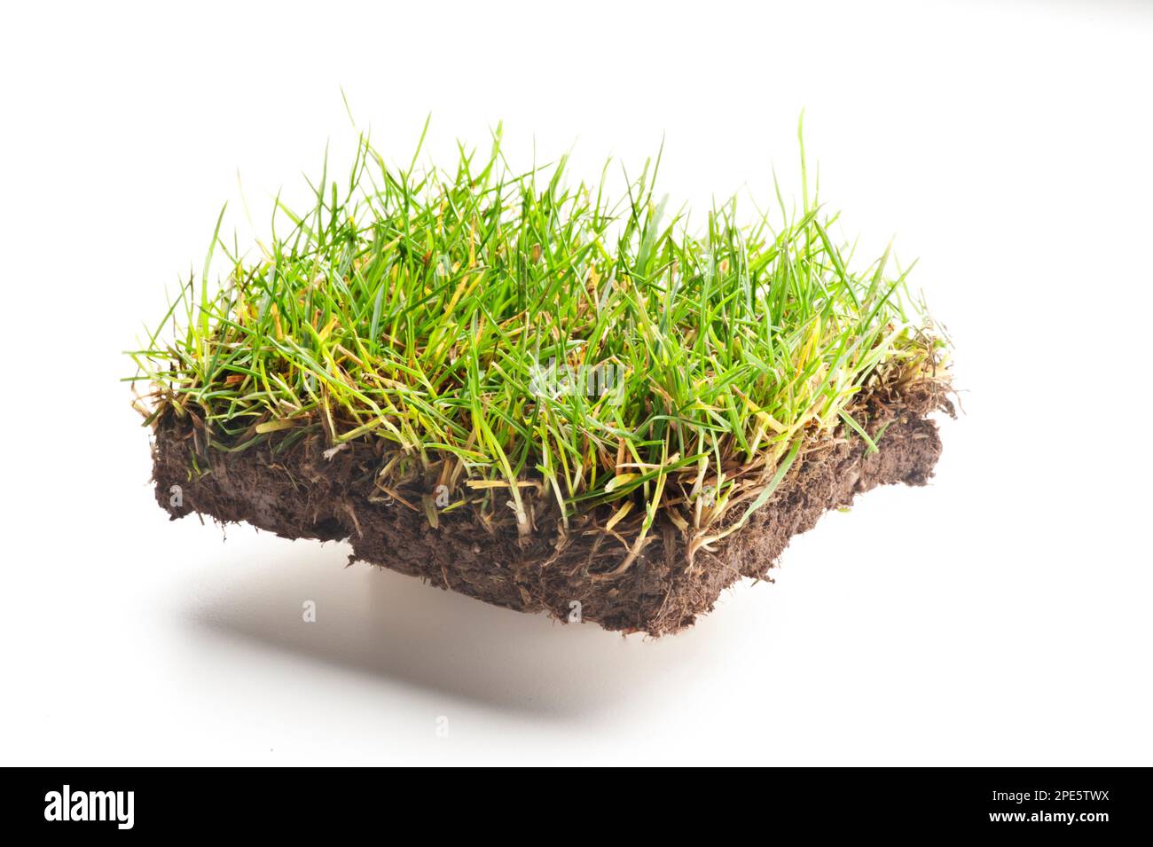 Clod of earth hi-res stock photography and images - Alamy