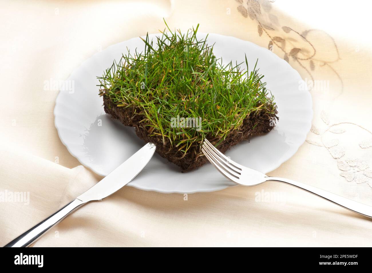 Clod of earth hi-res stock photography and images - Alamy
