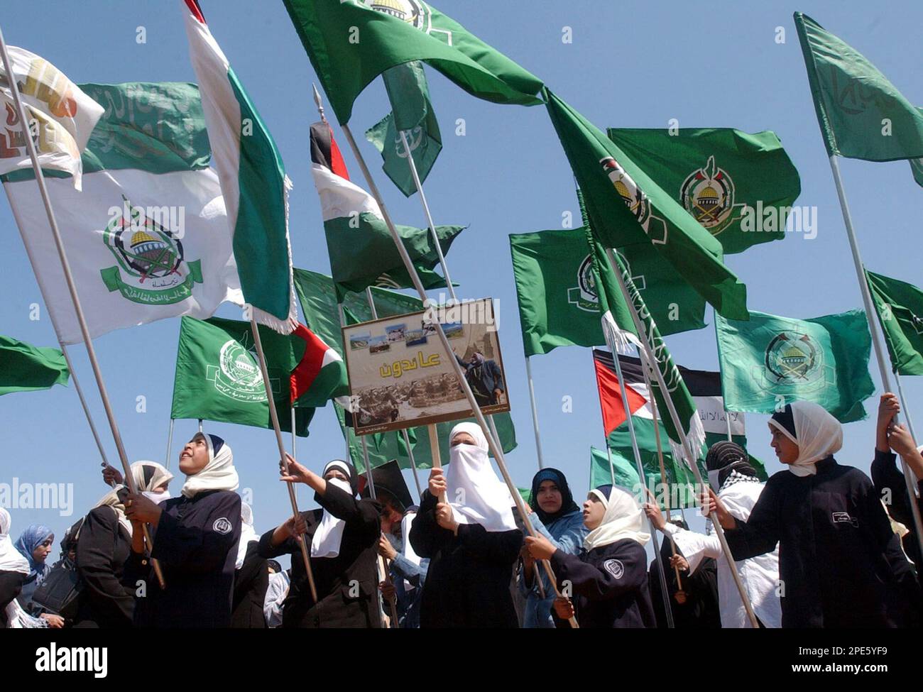 Women belonging to the Hamas militant group hold Hamas flags during a ...
