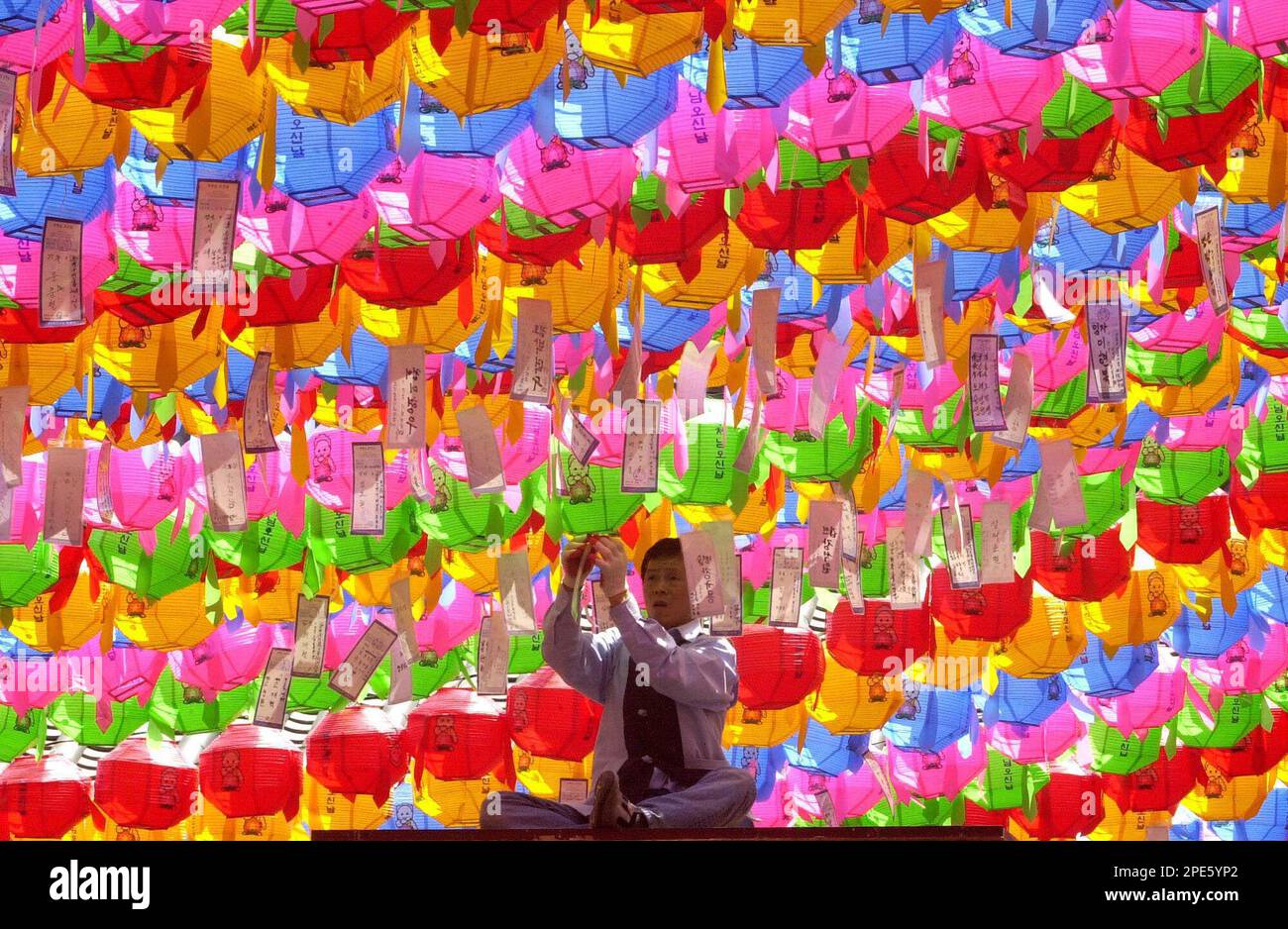 A South Korean Buddhist decorates a lantern to celebrate the 2,549th ...
