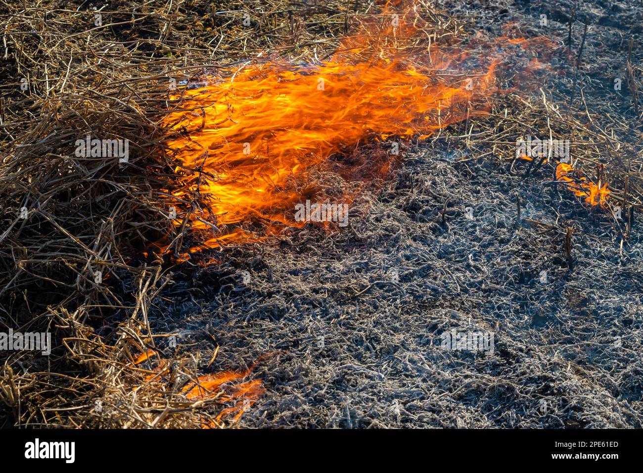 Close-up background of fire is rising from burning straw to black ash ...