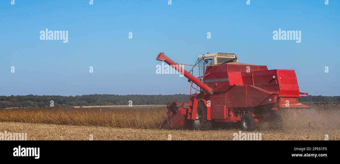 Red combine harvesting a crop of soybeans Stock Photo - Alamy