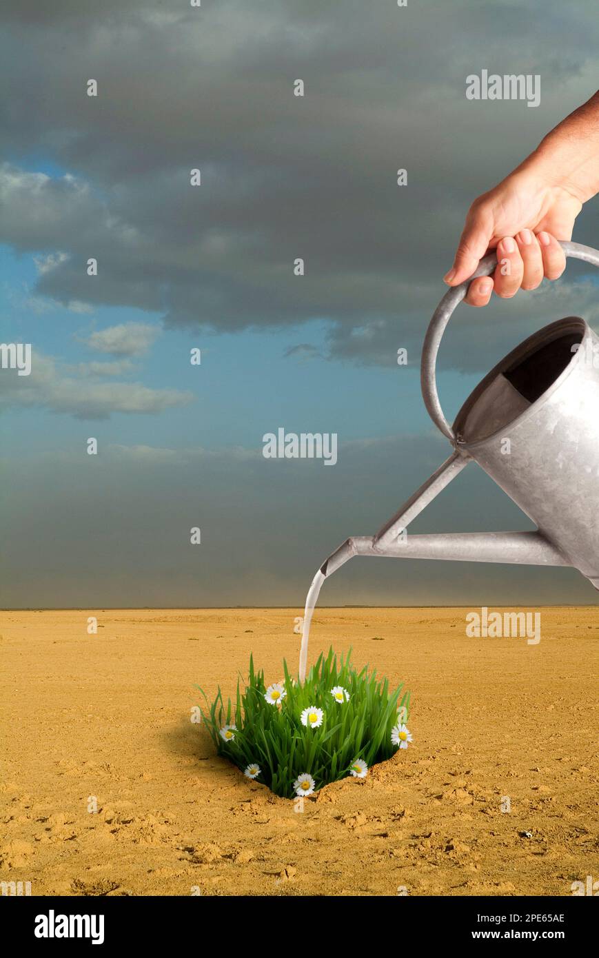 watering in the desert Stock Photo - Alamy
