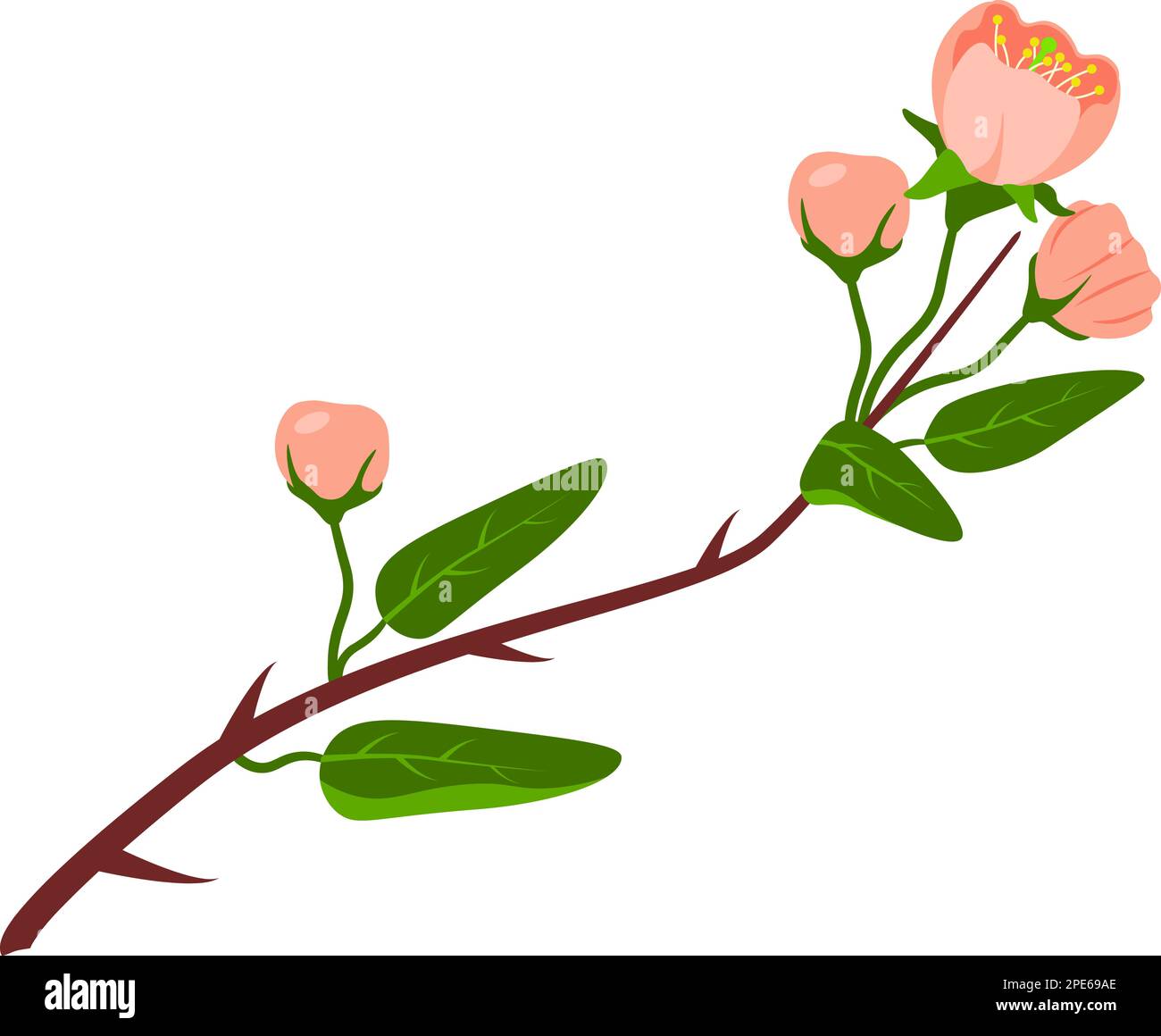 Spring burgeon Stock Vector Images - Alamy