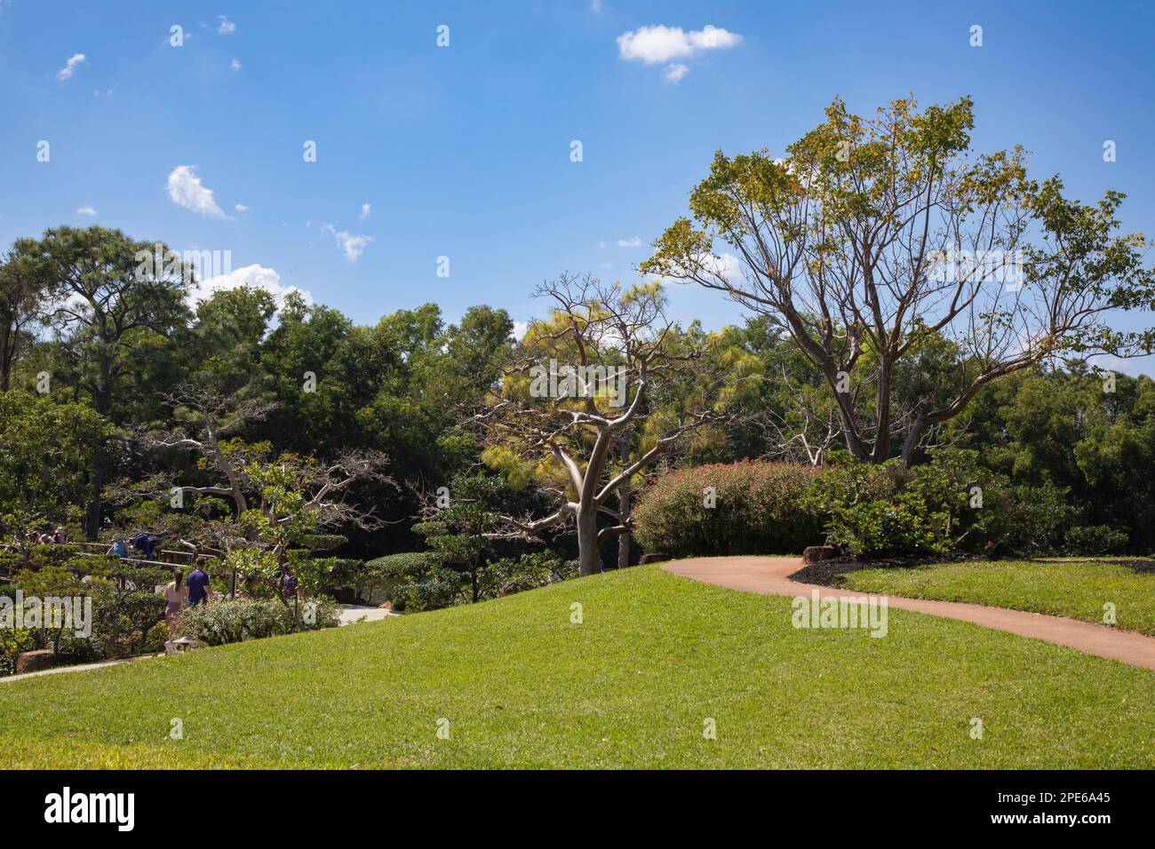 Landscaping with pathways at the Morikami Museum and Japanese Garden ...