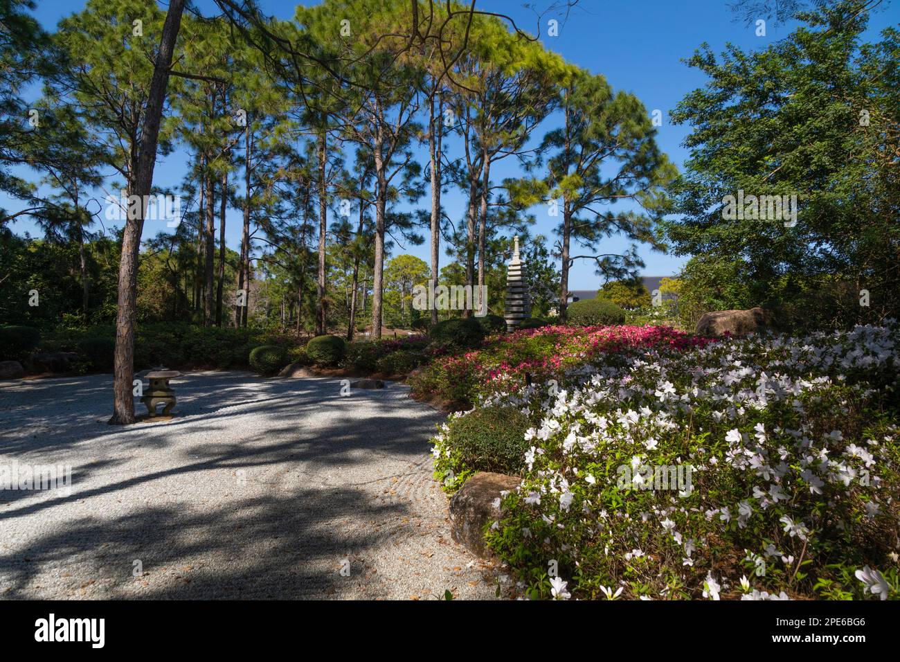Morikami Museum and Japanese Garden, Delray Beach, Florida, USA Stock Photo - Alamy