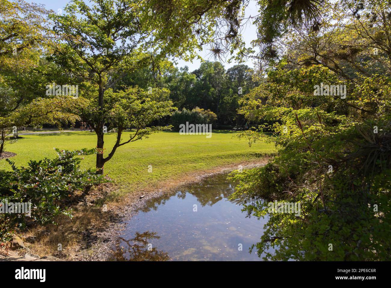 Landscape with pond at the Morikami Museum and Japanese Garden, Delray ...
