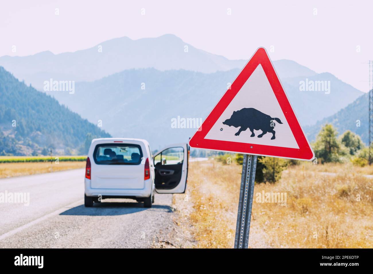 Traffic accident on the background of a sign - watch out for wild boars ...