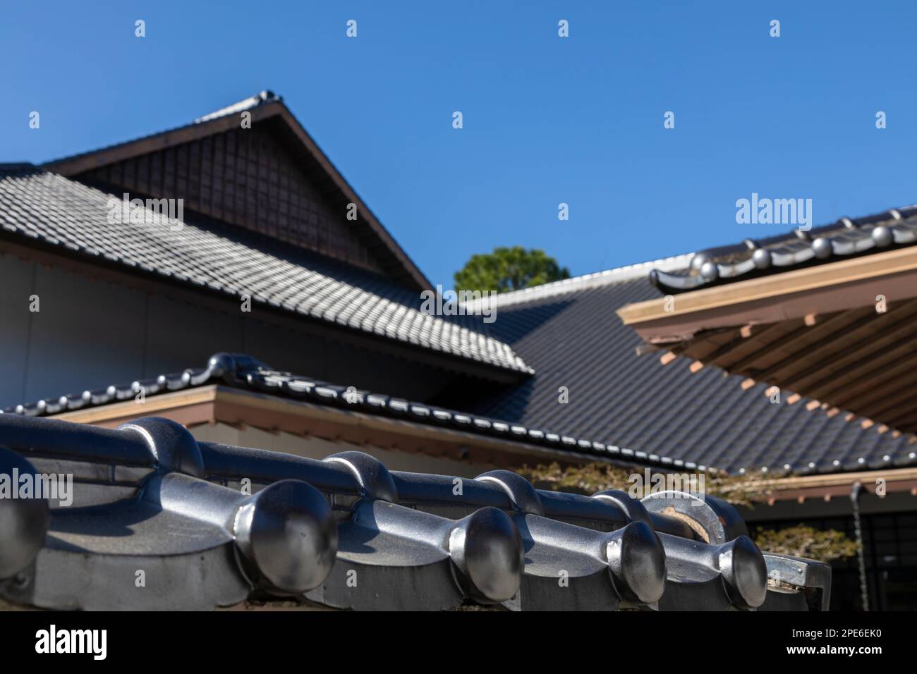 Japanese style roof tiles, Center building, Morikami Museum and ...