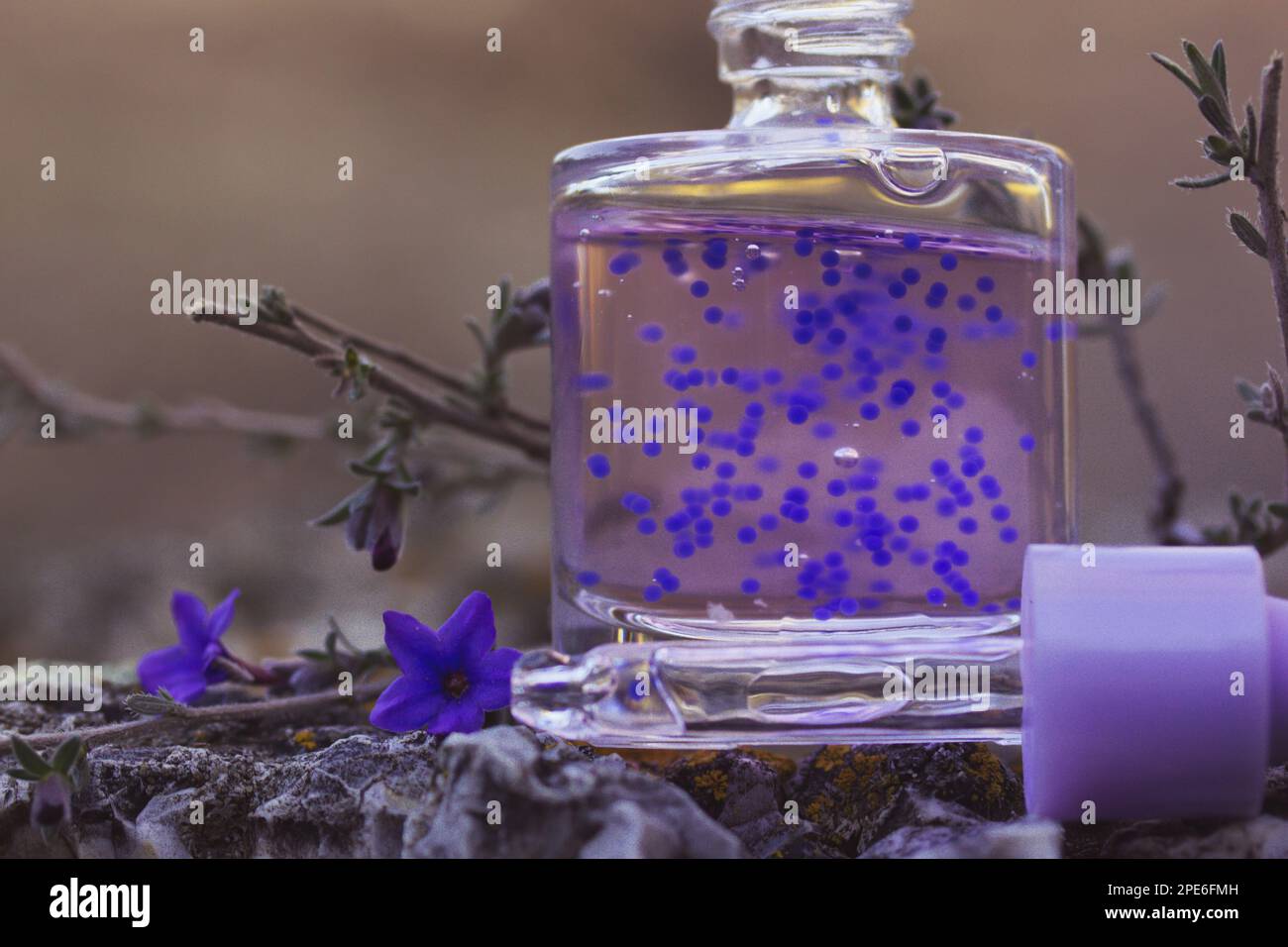 Cosmetic bottle with facial serum. Glass jar with a dropper. Purple ...