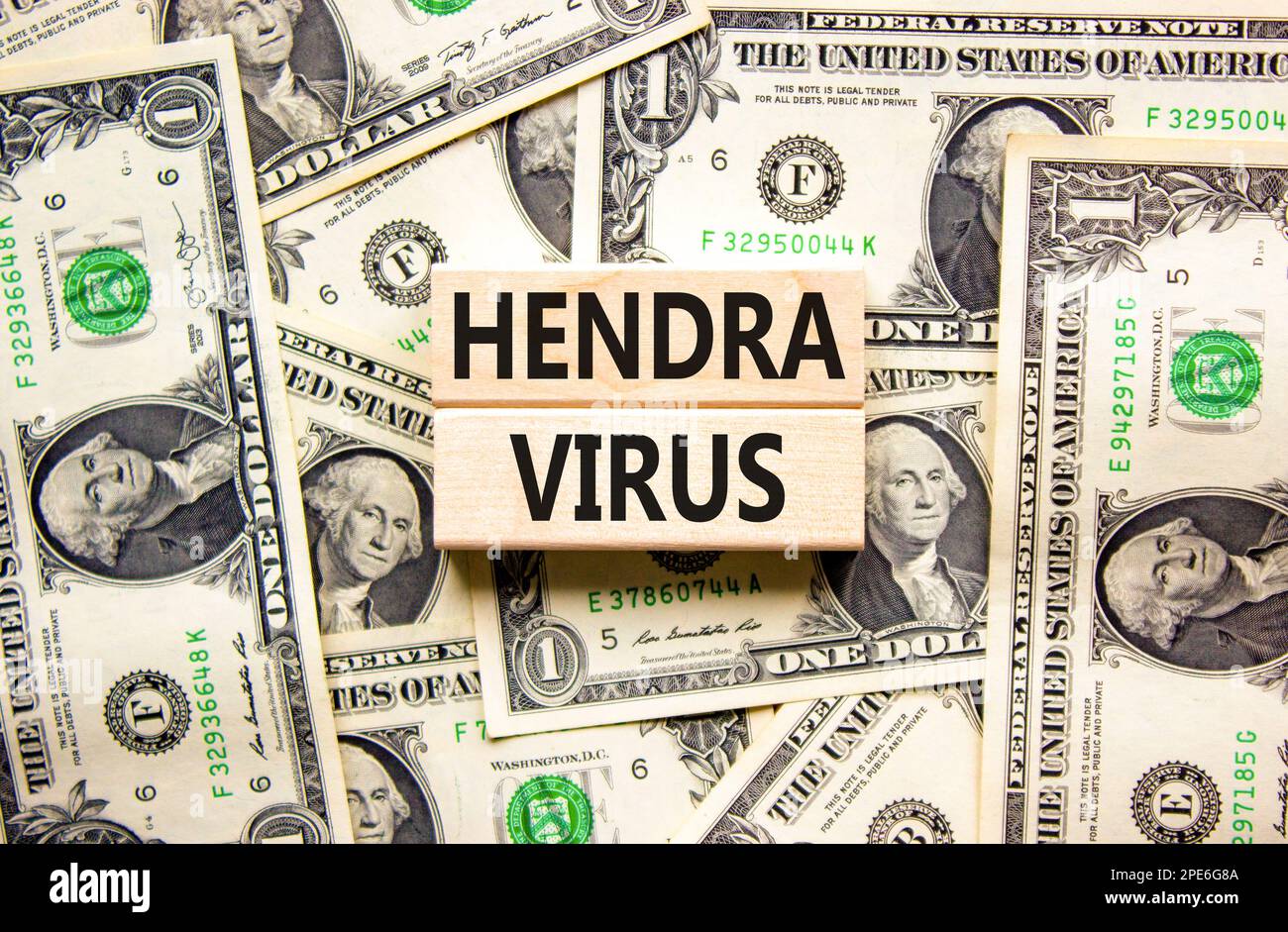 Hendra virus symbol. Concept words Hendra virus on wooden block ...