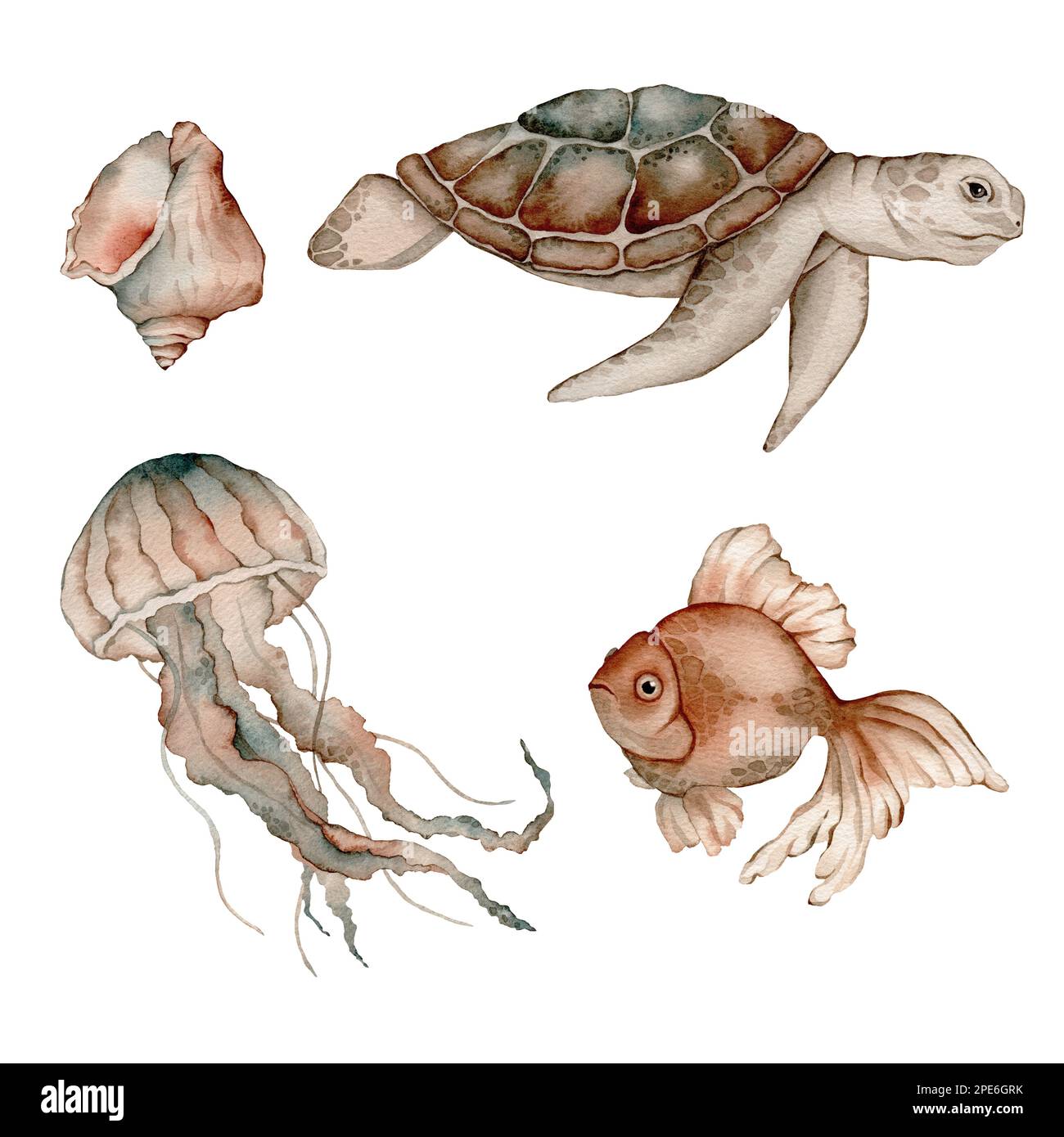 Set of sea animals poster. Blue, greeen, brown watercolor ocean ...