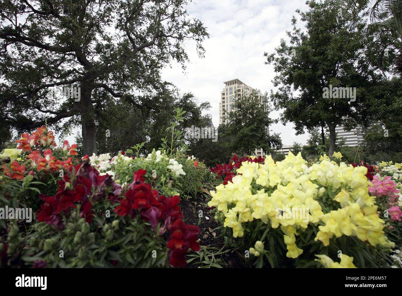**ADVANCE FOR SUNDAY MAY 8 AND THEREAFTER**Flowers are in full bloom at ...
