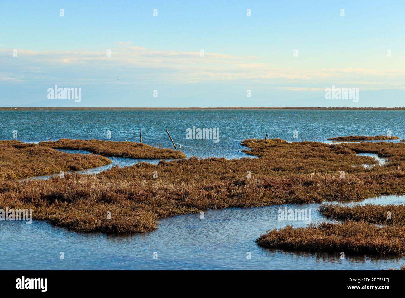 seascape view from the riverside at a delta river Stock Photo - Alamy
