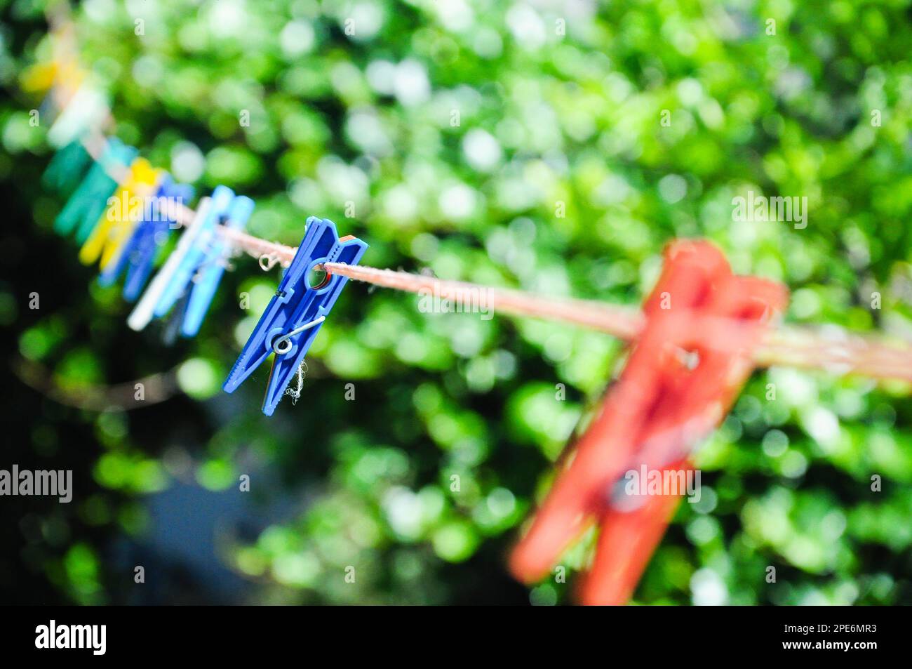 Set of clothes hangers located in the same position. The blue clothes ...