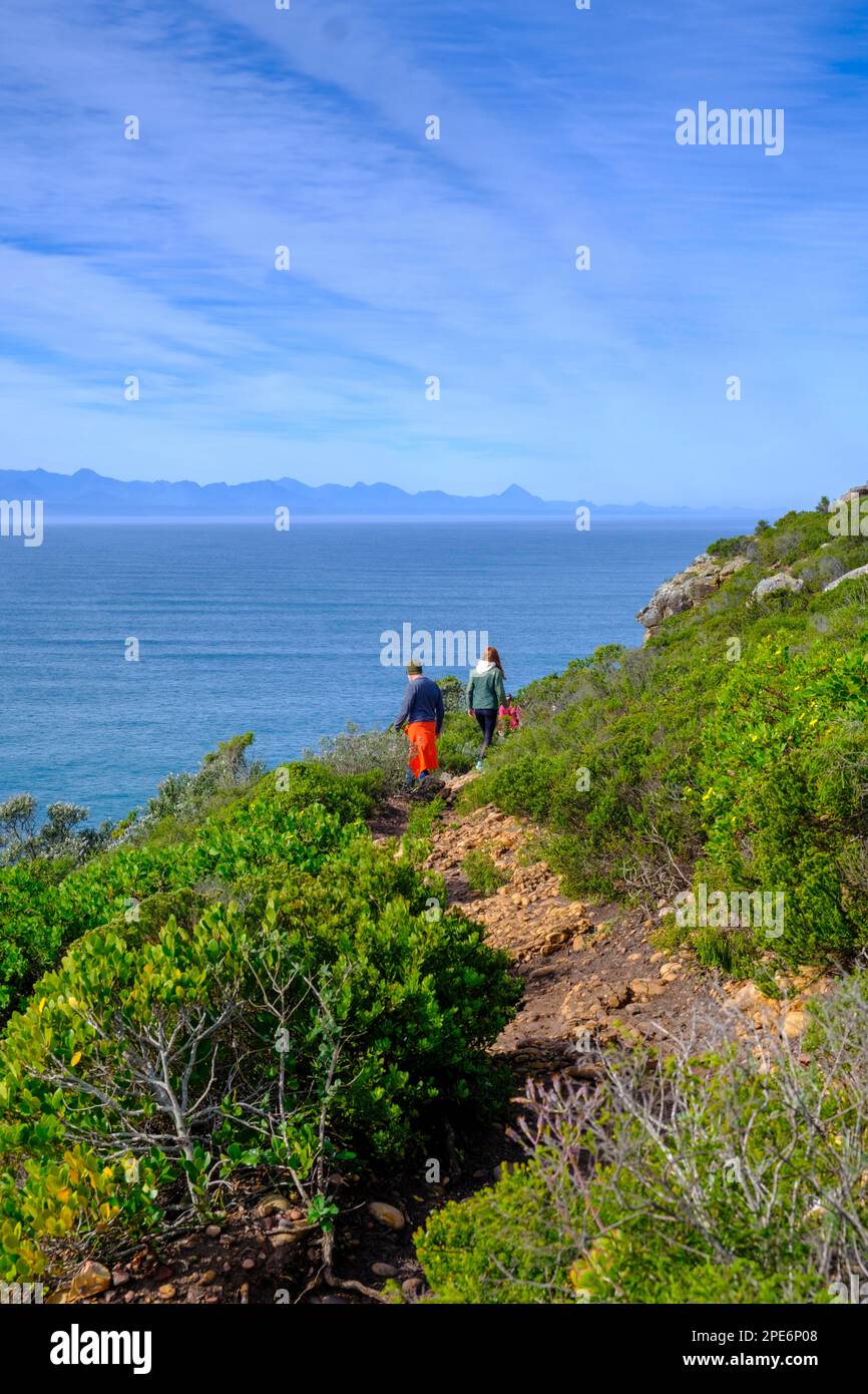 Hikers on Robberg Island, Robberg Peninsula, Robberg Nature Reserve ...