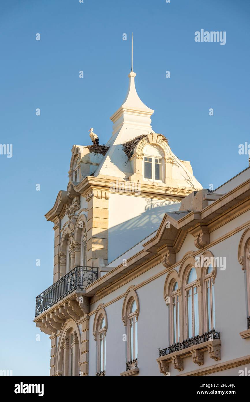 Stork on the tower of Belmarco Palace, landmark in Faro, Algarve ...