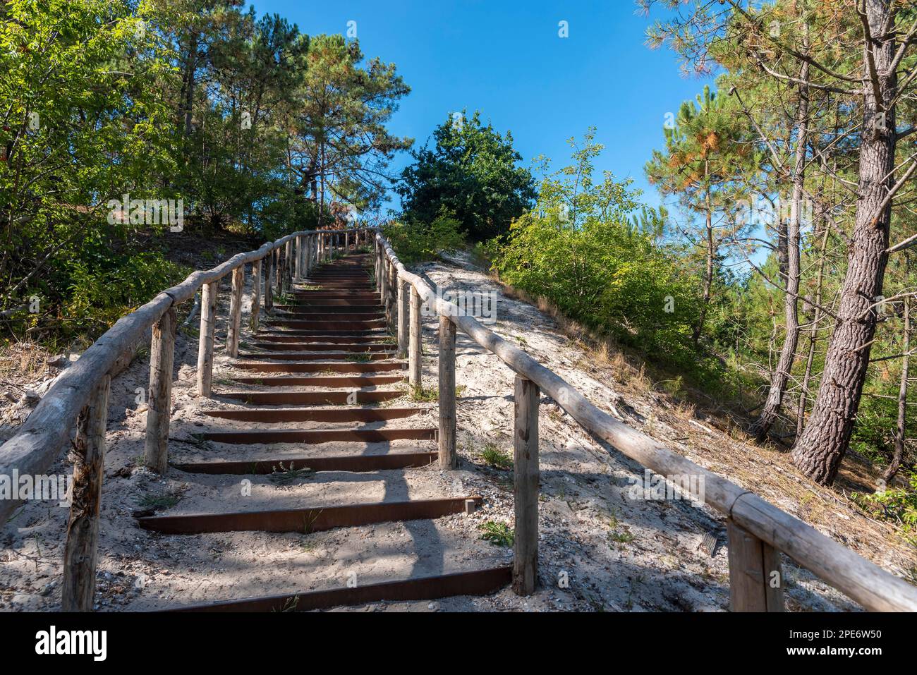 Dune steps on the touring path in the Schoorlser Duenen nature reserve ...