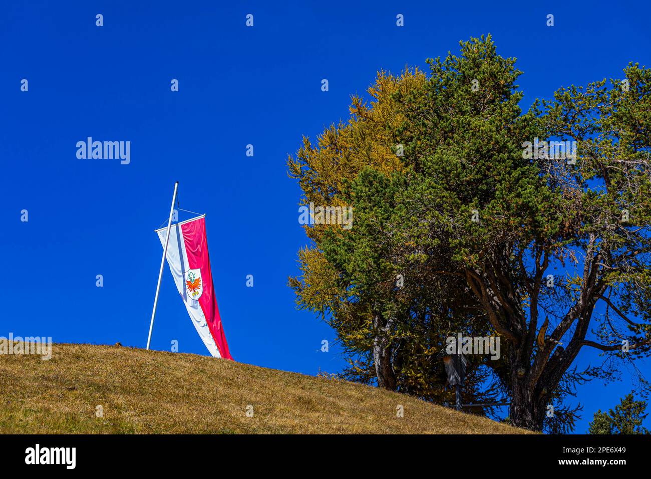 The South Tyrolean flag flies over an autumnal meadow hill, Alpe di ...
