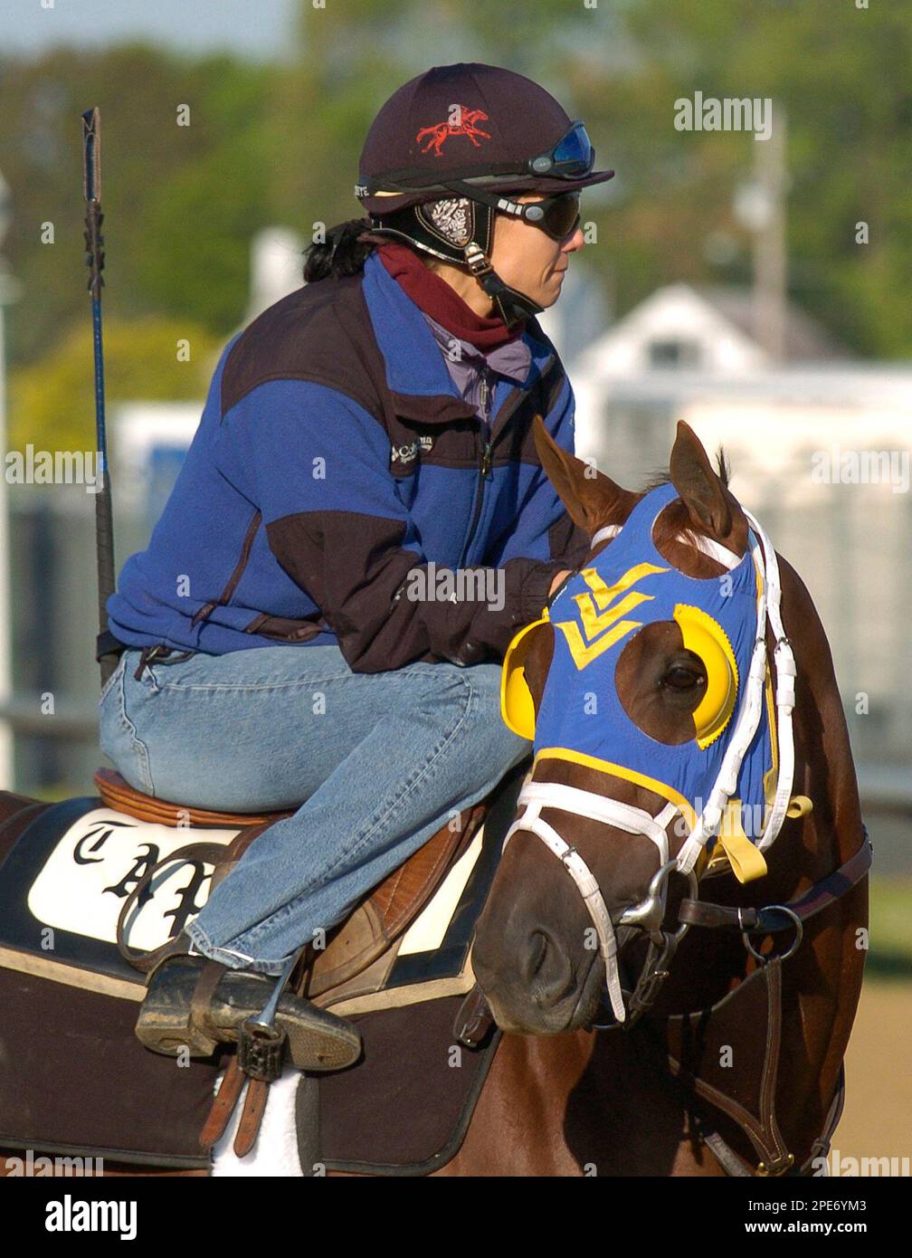 Kentucky Derby hopeful Flower Alley with exercise rider MIchelle Nihei ...