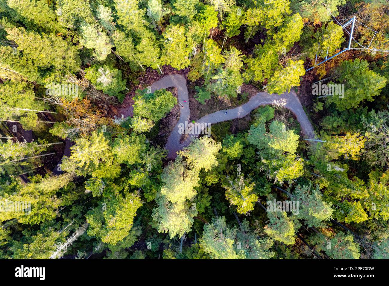 Aerial view of a forest path from above, Schoemberg, Black Forest ...